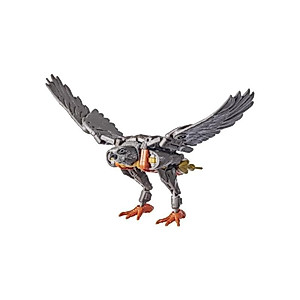 Transformers Toys Generations War for Cybertron: Kingdom Deluxe WFC-K14 Airazor Action Figure - Kids Ages 8 and Up, 5.5-inch