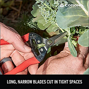 Corona AG 4930 Long Straight Snip, Tempered Steel