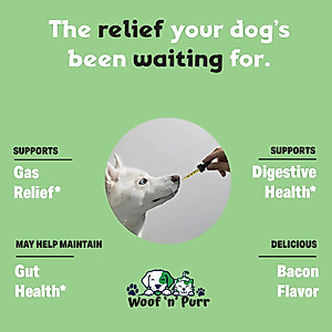 Natural Gas Relief for Dogs - Dog Gas Relief - Dog Constipation Relief - Constipation Relief for Dogs - Dog Gas - Dog Constipation - Dog Gas Aid - Dog Vitamins and Supplements - 1 fl oz - Bacon Flavor