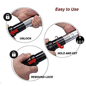 RIMKOLO 3/4-inch Drive Click Torque Wrench Dual-Direction Adjustable Torque Wrench Set with Buckle with Screwdriver (100-600ft.lb / 135-815Nm)