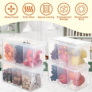 Quzzil 4 Pcs Fridge Organizer Refrigerator Organizer Bins with Lids and Handle Clear Fruit Storage Containers for Fridge Vegetable, Egg, Meat (Divided Style)