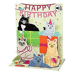 Up With Paper Pop-Up Sight 'N Sound Greeting Card - Feline Birthday, green, black, grey, orange, white