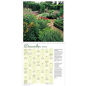 Herb Gardens 2021 Wall Calendar: Recipes & Herbal Folklore
