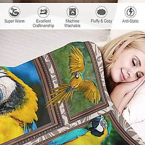 Parrot Bird Blanket Parrot Bird Gifts for Boys Men Parrot Bird Throw Blanket for Couch Sofa Bed Soft Warm Flannel Fleece for adults40 x50