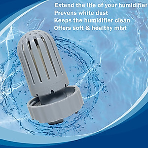 Humidifier Demineralization Filters Compatible with Air Innovations HUMIDIF Humidifier, Demineralization Cartridge Filters Silver 8 Pack