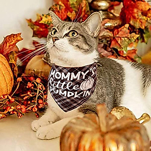 2 Pack Thanksgiving Dog Cat Bandana, Fall Autumn Buffalo Bandana for Small Medium Large Dogs Pets Puppies (Pattern 1, Large)