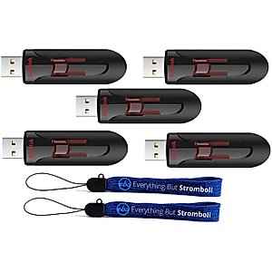 SanDisk 256GB Cruzer Glide 3.0 USB Flash Drive (5 Pack) Laptop Computer Pen Drive (SDCZ600-256G-G35) Bundle with (2) Everything But Stromboli Lanyards