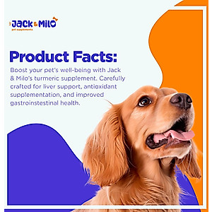 Supplement Anti Inflammatory for Dogs with Turmeric, Hip, and Joint - Dog Arthritis Pain Relief, Support for Mobility & Wellness, USA Made-GMP Certified, Non-GMO, 120 Tablets - Jack & Milo