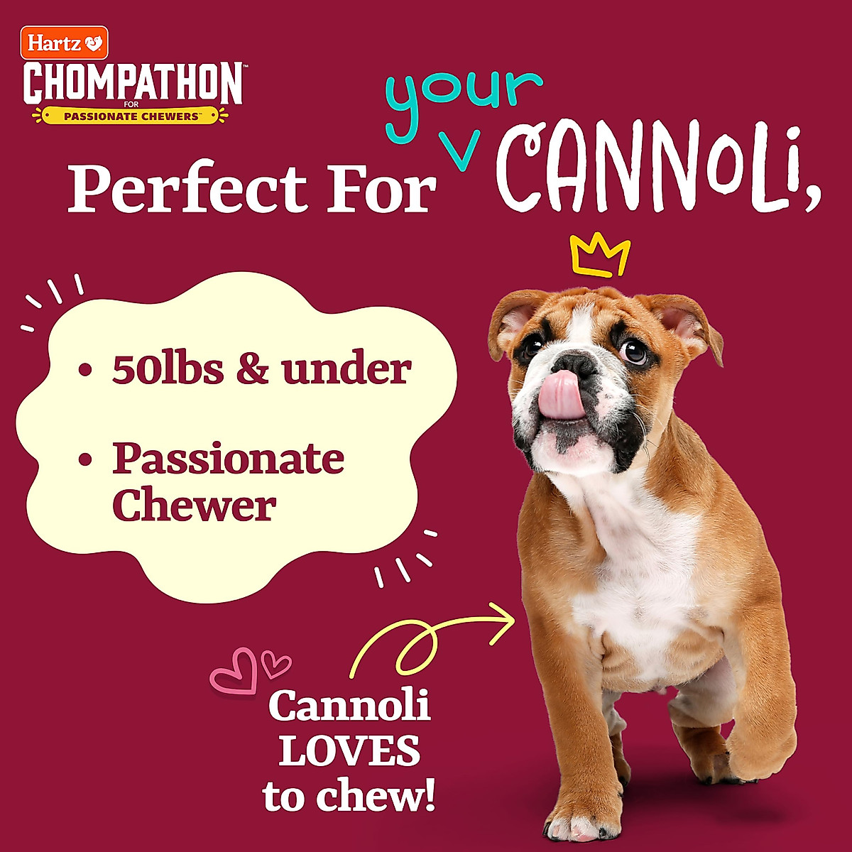 Hartz New Chompathon Gripper Bone Dog Chew Toy for Aggressive Chewers, Double Layered Flavored with Chicken & Bacon