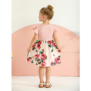 Toddler Infant Baby Girl Dress Floral Ruffle Sleeve Dresses Girls Sundress (4-5T) Pink
