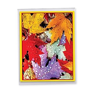 NobleWorks Jumbo Blank All Occasions Greeting Card 8.5 x 11 Inch with Envelope (1 Pack) Big, Jumbo Blank All Occasions Lavish Leaves - Maple J7177JOCB
