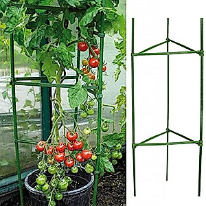 100 Pieces Stake Arms for Tomato Cage Expandable Trellis Connectors Plant Support Garden Stakes 12.6” Garden Plants Stake Arms Fit for 16mm Stakes