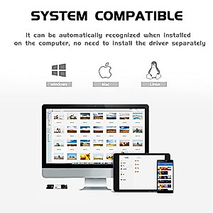 256GB Internal SSD M.2 2280 NGFF SHARKSPEED Plus 3D NAND SATA III 6 Gb/s,Internal Solid State Drive for Notebooks Desktop PC (M.2 2280 256GB)