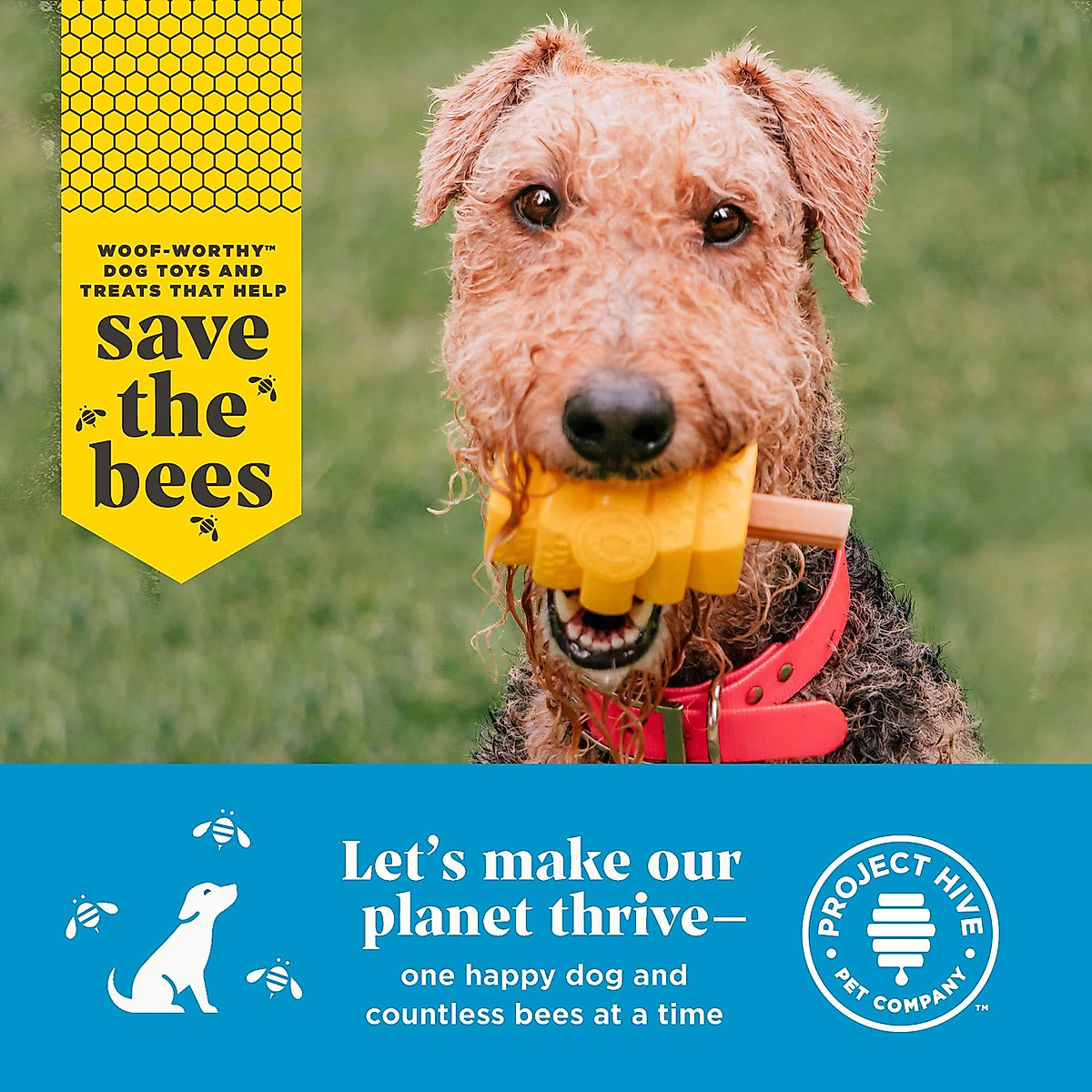 Hive Treats for Dogs 2 Pack — Healthy, Non-GMO Project Verified, Natural Peanut Butter Flavored, Natural, Vegetarian Chews, Made in The USA (Chew Sticks, Large Breeds)