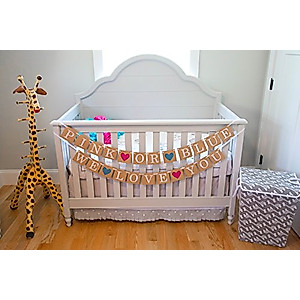 Gender Reveal Party Baby Shower Decorations - "Pink or Blue" Banner by Sterling James Co. - Pregnancy Announcement