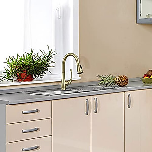 peskoe Gold Kitchen Faucet with Pull Down Sprayer Brushed Gold Kitchen Sink Faucets High Arc Single Handle Modern 2 Function Tall Faucet 360 Degree Swivel Spout