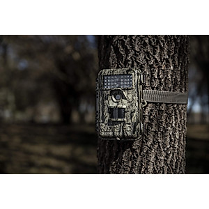 Bushnell Trophy Trail Camera 20MP - High-Resolution Images, Fast Trigger Speed, and Night Vision for Optimal Outdoor Photography
