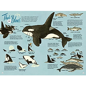 On Island Time: A Traveler's Atlas: Illustrated Adventures on and around the Islands of Washington and British Columbia (Drawn The Road)