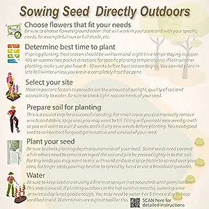 Outsidepride Delphinium Larkspur Rocket Wild Flowers - 1000 Seeds