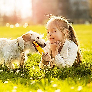 15 Pcs Rubber Chicken Screaming Chicken squeeze Novelty Squeaky Noise Shrilling Shrieking Squawking Chicken Noisemaker Novelty Gadget for Dogs Pets, 6.3 Inch