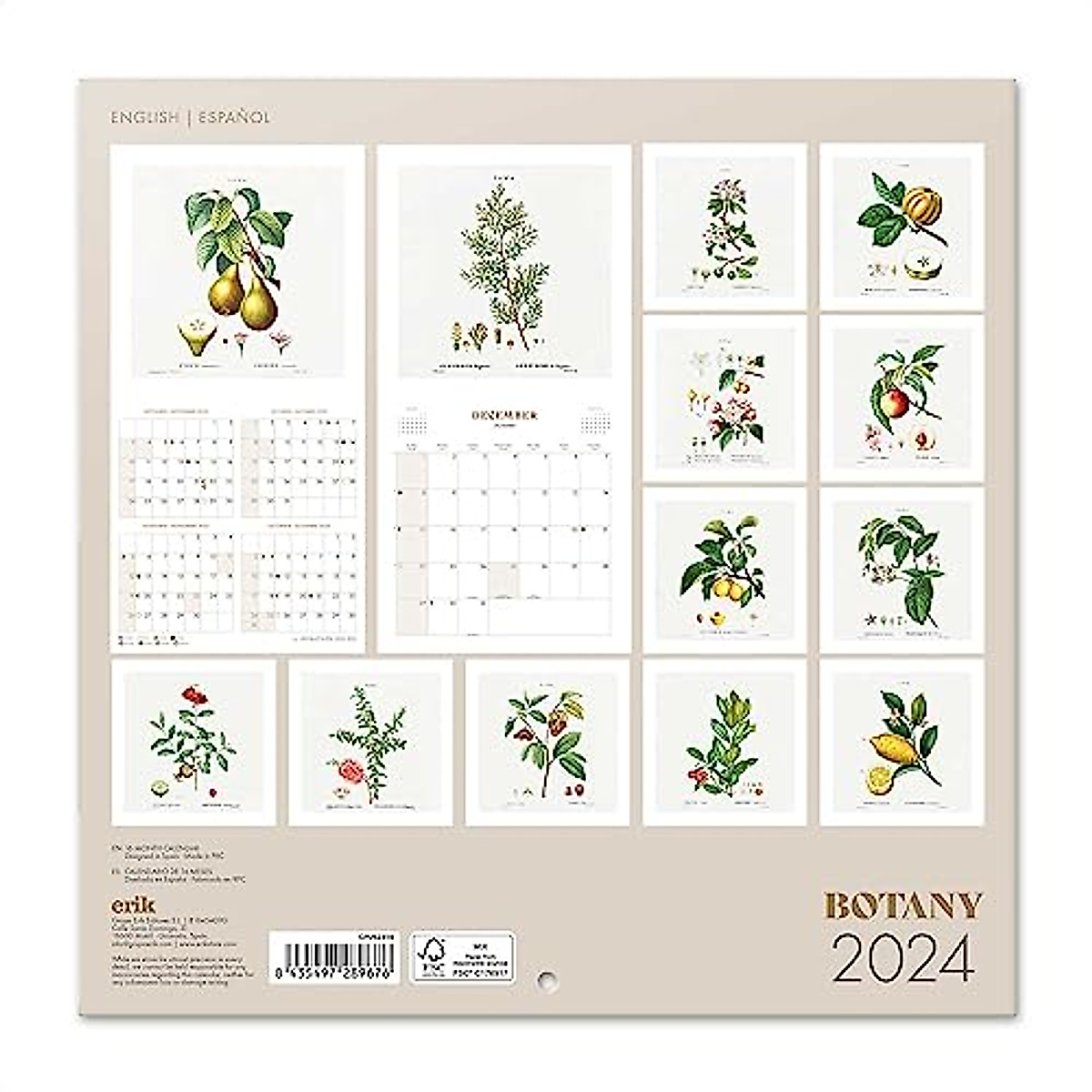 Wall Calendar 2024 12" x 12" FSC® Plastic Free - Starts Week On Sunday | Square Wall Calendar 2024 | Family Planner Calendar 2024 | 2024 Calendar (Botanical 2024)