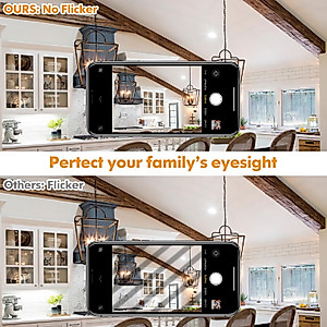 Dimmable E12 Candelabra LED Light Bulbs 40W Equivalent, 2700K Soft Warm White Chandelier Light Bulbs, 4W 460 LM Flame Tip Candle Light Bulbs, 12-Pack