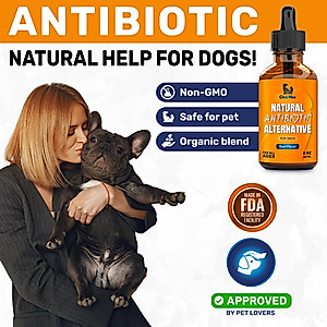 Antibiotic for Dogs ◆ Dog Antibiotic ◆ Natural Antibiotics for Dogs ◆ Pet Antibiotic ◆ Dog Antibiotics with Beef Flavor ◆ 2 Oz