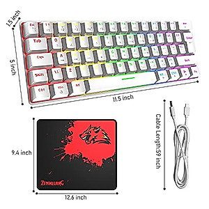 60% True Mechanical Gaming Keyboard Ultra-compact with 20 Rainbow Backlit Type C Wired Programmable 62 Keys Tactile Blue Switch Waterproof Non-Conflict and Gaming Mouse Pad for PC/Laptop/PS5（White)