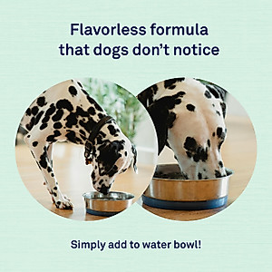 Petpost | Dental Solution for Dogs - Water Additive That Eliminates Bad Breath - Dirt, Gunk, and Tooth Buildup Gone - Natural Tooth Cleaning Solution 16 oz.