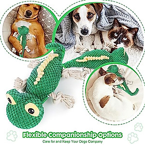 Stuffed Dog Toys, Big Dog Squeaky Toys, Plush Toys for Boredom and Stimulating, Cute Stuffing Lizards with Soft Squeaker, Fun Teething Pet Chew Toys
