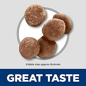 Hill's Science Diet Dry Cat Food, Kitten, Chicken Recipe, 3.5 lb. Bag (Packaging May Vary)