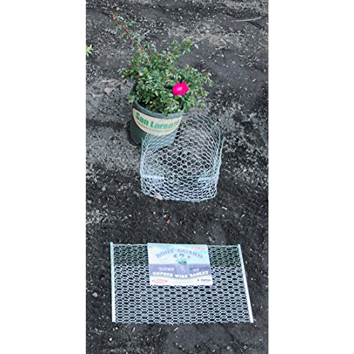 The Original RootGuardTM Heavy Duty Gopher Wire Baskets (12 3-Gallon Baskets)