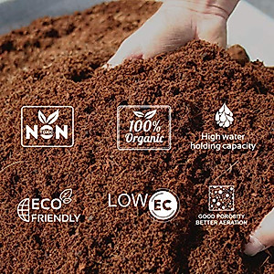 Coco Coir Brick Pack of 4 (1.4 LB/Brick) | Expands to 40L | Coco Coir Fibre Reptile Substrate | Garden Soil for Plants | 100% Organic Compressed Coconut Coir Bricks, Coconut Husk for Planting