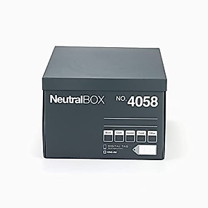 キングジム(Kingjim) King Jim 4058 Cure Storage Box, Storage Box, Neutral Box, XL, Gray