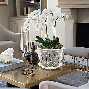 lanccona Orchid Pot, 8 Inch 4 Pack Orchid Pots with Holes and Saucers, Clear Plastic Orchid Pots