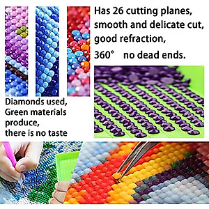 taosilj Stitch Diamond Painting Kits-Stitch Diamond Art for Adults Kids Beginners,5D Diamond Painting Stitch for Gift Home Wall Decor (12x16inch)
