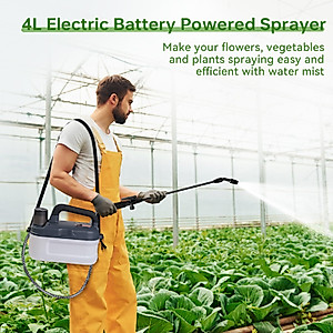 BHeadCat Battery Powered Garden Sprayer 1 Gallon/4L, Electric Pump Sprayer with Lockble Handle and USB Cable, Portable Sprayer with Adjustble Nozzle and Shoulder Strap for Garden Lawn Cleaning