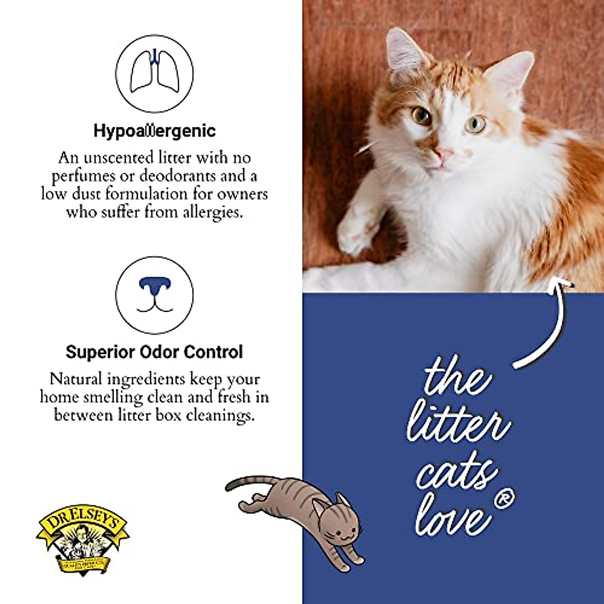 Precious Cat Senior Litter, 8lbs