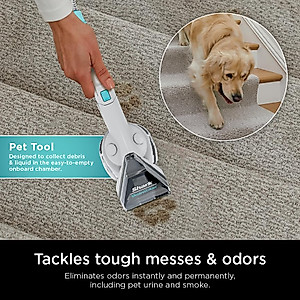 Shark EX201 CarpetXpert Upright Carpet, Area Rug & Upholstery Cleaner with StainStriker, Built-in Spot & Stain Cleaner, Perfect for Pets, Deep Cleaning & Tough Stain Removal, Carpet Shampooer, Cyan