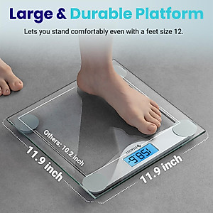 Etekcity Bathroom Scale for Body Weight, Digital Weighing Machine for People, Accurate & Large LCD Backlight Display, 6mm Tempered Glass, 400 lbs