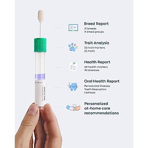Basepaws Cat DNA Test Kit - Comprehensive Breed, Health and Dental Analysis Across 114 Traits for Accurate and Easy-to-Use Genetic Insights