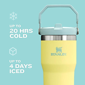 Stanley IceFlow Stainless Steel Tumbler - Vacuum Insulated Water Bottle for Home, Office or Car Reusable Cup with Straw Leak Resistant Flip Cold for 12 Hours or Iced for 2 Days, Ash, 30OZ
