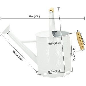 HORTICAN 1 Gallon Watering Can with Wooden Handles, White Metal Can with Removable Spout, Perfect for Indoor and Outdoor Plants