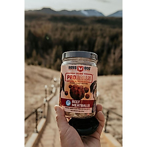 Boss Dog Boss Proballs Meatball Treats for Dogs & Cat, Beef Recipe, 6 oz Jar