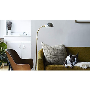 Capture Carpet & Rug Dry Cleaner w/ Resealable lid - Home, Car, Dogs & Cats Pet Carpet Cleaner Solution - Strength Odor Eliminator, Stains Spot Remover, Non Liquid & No Harsh Chemical (4 Pound)