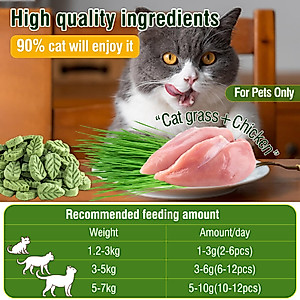 SYWUAII 100g/3.52oz Cat Grass Treats, Cat Grass Teething Stick for Hairball Remove and Teeth Cleaning, Edible Cat Grass Stick Snack