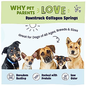 Pawstruck Natural Large Collagen Stick Springs for Dogs - Vet-Approved Long Lasting Alternative to Traditional Rawhide & Bully Sticks - High Protein Dental Treat w/Glucosamine & Chondroitin - 4 Pack