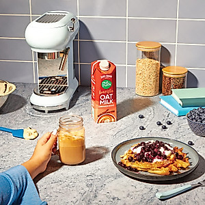 nutpods Cinnamon Dolce Barista Oat Milk - Sugar Free Non Dairy Milk Made from Oats - Keto Oatmilk Barista Blend - 70 calories, Gluten Free, Non-GMO, Vegan, Kosher, 32 fl oz (3-Pack)