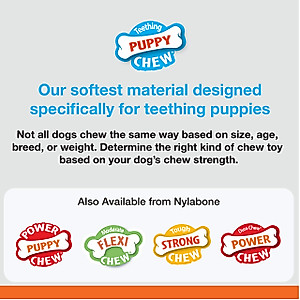 Nylabone Puppy Chew Keys Toy - Puppy Chew Toys for Teething - Puppy Supplies - Bacon Flavor, X-Small/Petite (1 Count)