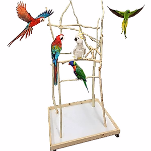 ExoticDad XS Parrot Stand - Customize Your Perch Designed Natural Dragonwood Bird Perch on Wheels Stand for Parrot, Cockatoo, Macaw, Conure, Birds, Cockatiel, African Grey - (24×36 Ft - B - 4 Ft H)